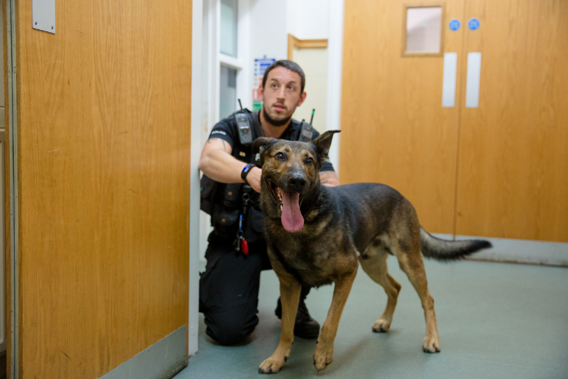 Police dog section train at Worcester school | West Mercia Police