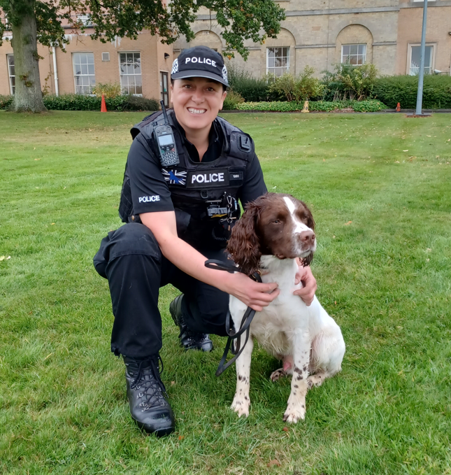 Police dogs named by school children now ready for duty | West Mercia ...