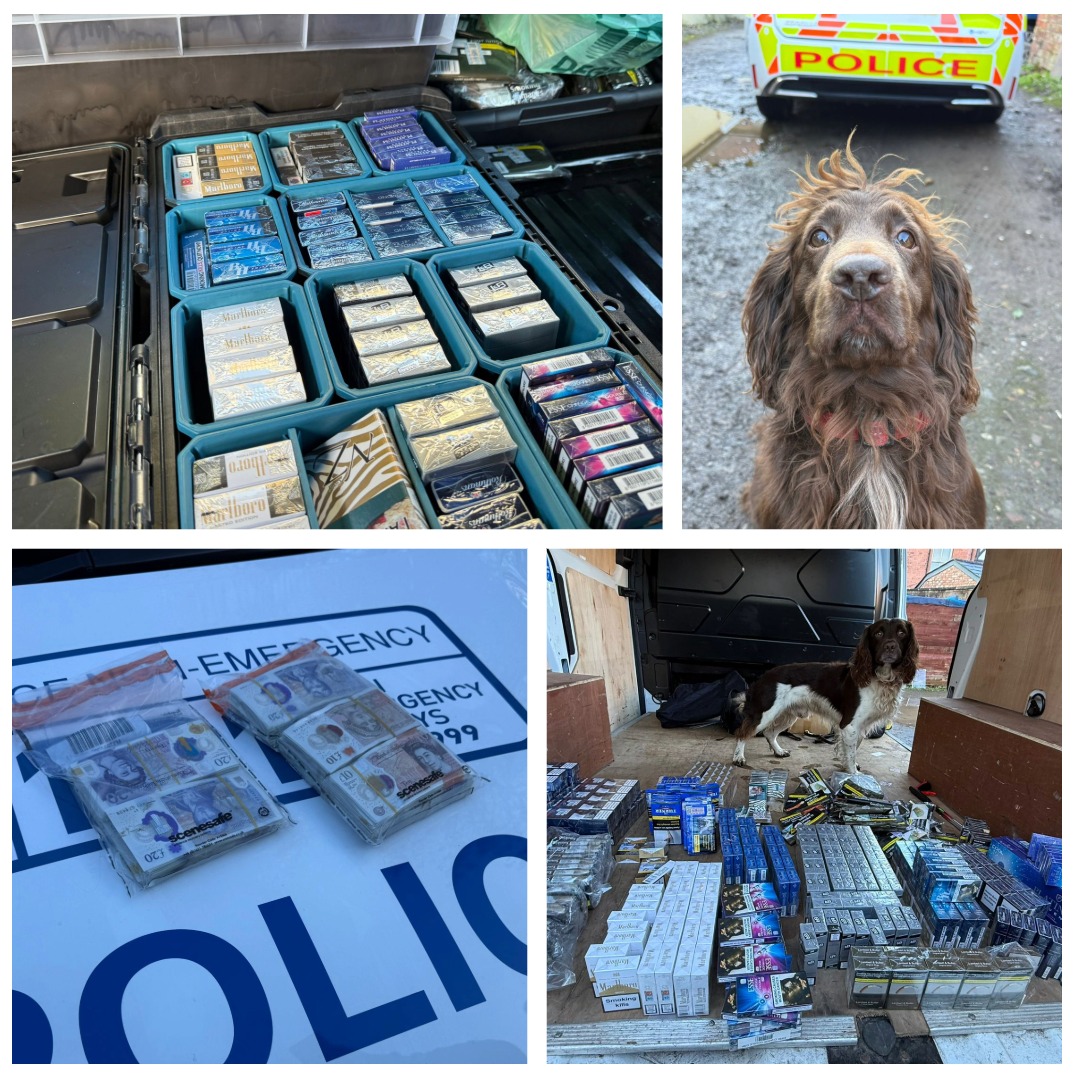 Hundreds of packs of illegal cigarettes and £17,000 cash seized | West ...