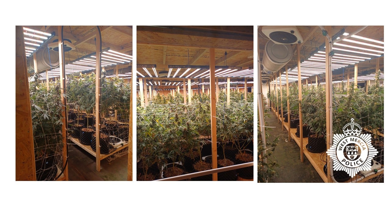 Two arrested as cannabis farm worth an estimated £1.2 million uncovered ...